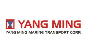 Danh Sách Container Packing List Từ Các Hãng Tàu Nổi Tiếng