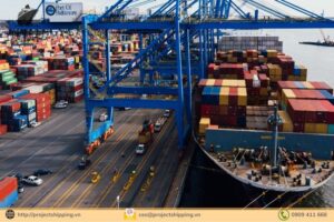 Tổng hợp những điểm quan trọng về CO Form AANZ 2024 - Project Shipping