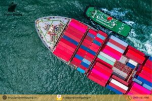 Tổng hợp những điểm quan trọng về CO Form AANZ 2024 - Project Shipping