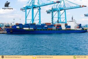 Đầy đủ thông tin mới nhất về CO Form AJ 2024 - Project Shipping