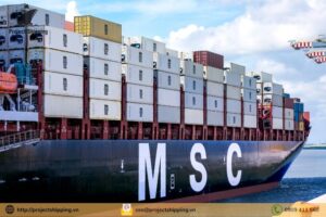 1# Thông tin mới nhất về hãng tàu MSC hiện nay